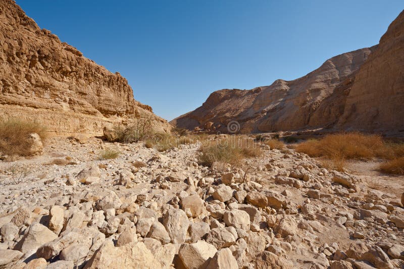 Riverbed stock image. Image of reserve, judean, middle - 27900517