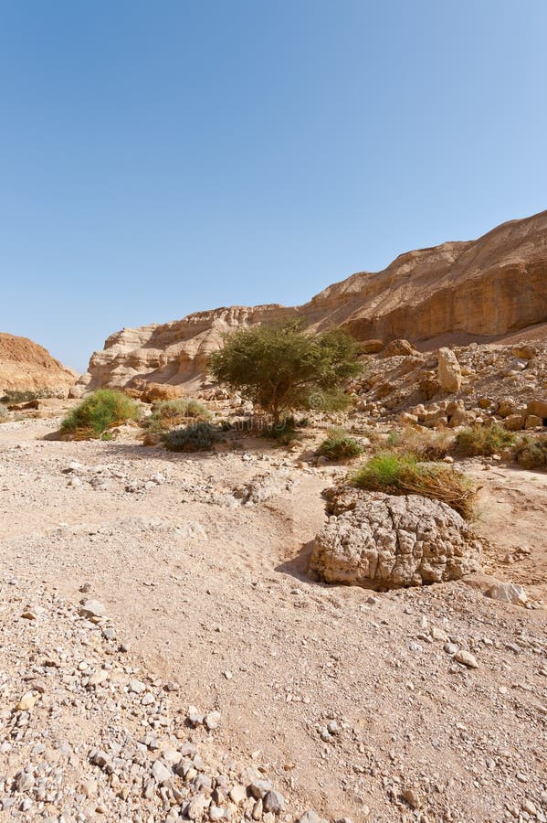 Riverbed stock photo. Image of erosion, bank, mountains - 34898150