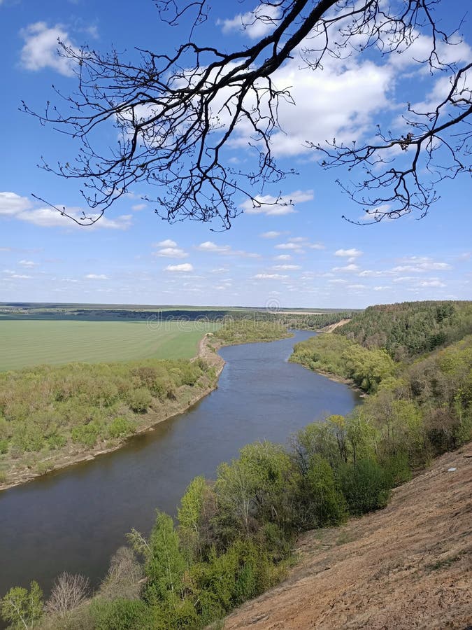 Riverbend in Deep Spring Forestm with Green Trees on the Bank of the ...