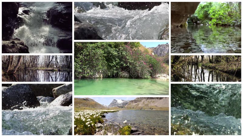 Rivers collage stock video. Video of collage, drop, diverse - 49356001