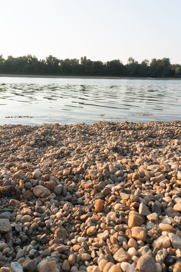 Rivers edge stock image. Image of clear, spring, forest - 61860137