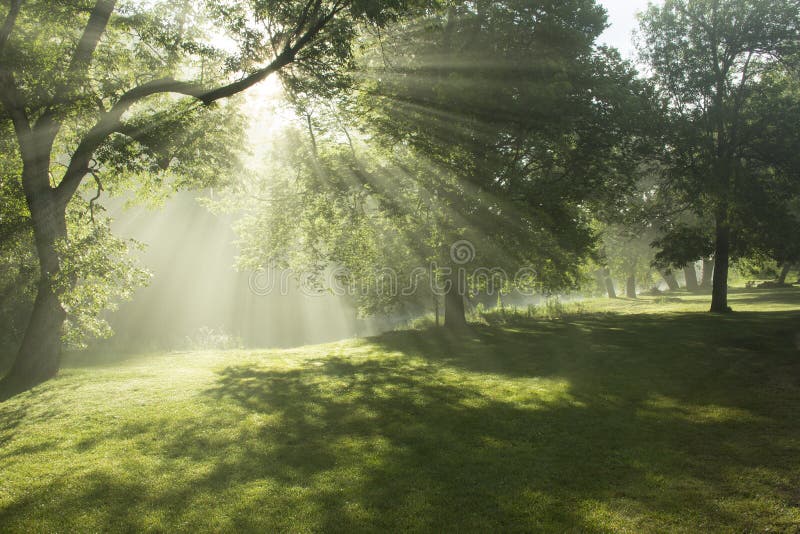 Rivers edge morning mist stock image. Image of rays, sunlight - 81320039