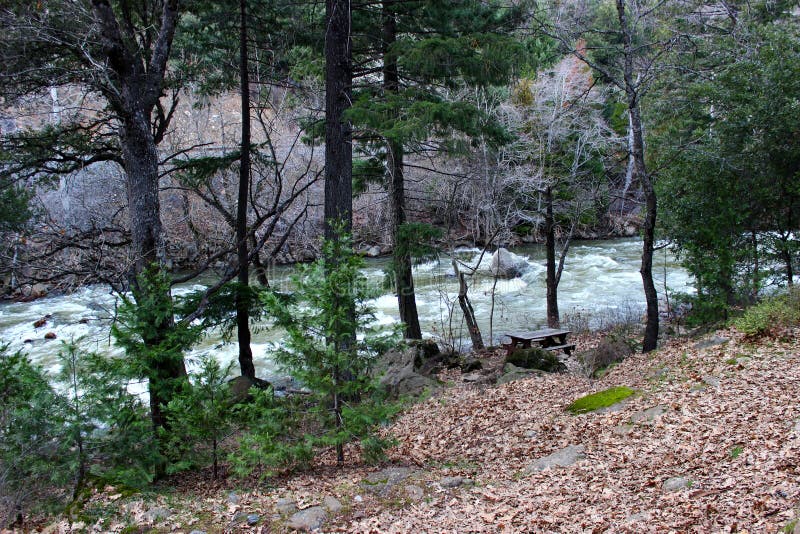 Rivers Edge stock image. Image of boulders, leaves, fresh - 74006663