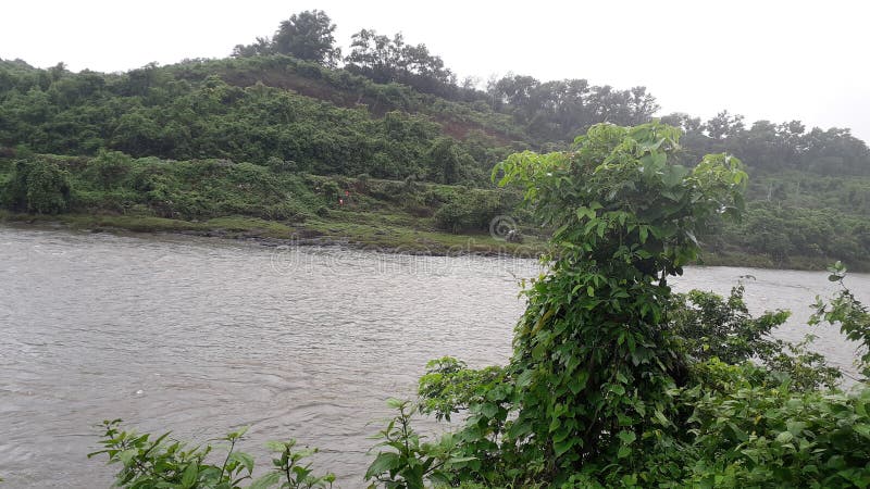 Rivers Flow in the Greenery Stock Image - Image of spotn, sunset: 175296541