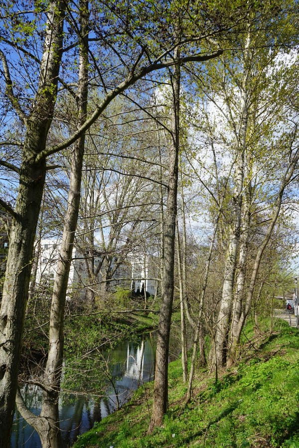 View of the Shallow Wuhle River on a Sunny Spring Day. Berlin, Germany ...