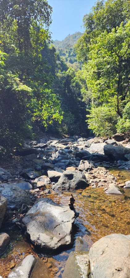 Rivers in Goa stock image. Image of formation, autumn - 271120449