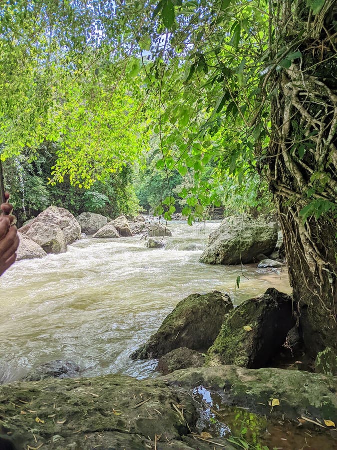 Rivers in indonesia stock photo. Image of riverl, tropical - 384234394