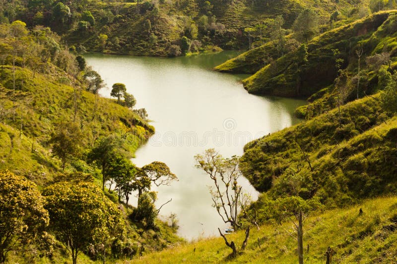 Rivers and Lagoons with Textures and Different Moments Stock Image ...