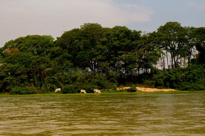 Rivers and Lagoons with Textures and Different Moments Stock Image ...