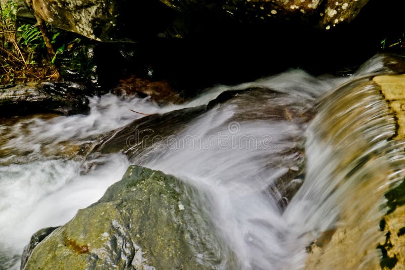Beautiful Nature River and Forest, West Java, Indonesia. Stock Photo ...
