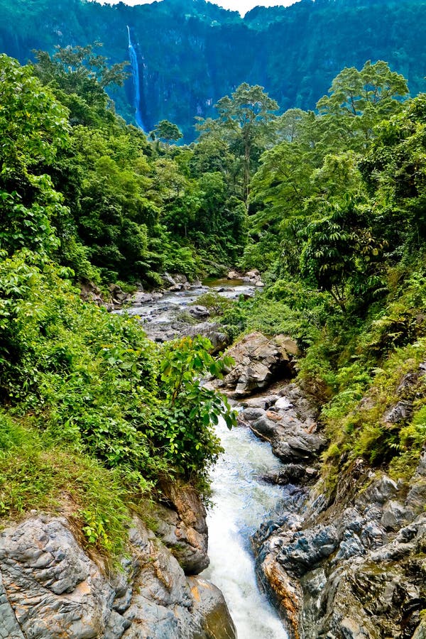 Beautiful Nature River and Forest, West Java, Indonesia. Stock Image ...