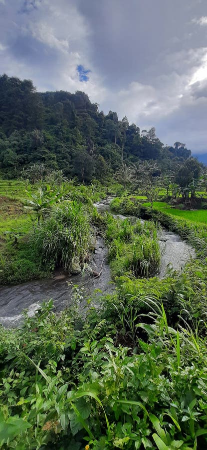 Rivers Mountain Potrait Nature Stock Photo - Image of ridge, vegetation ...