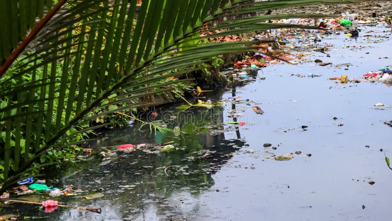 Rivers that are Polluted with Plastic Waste Make the Environment Dirty ...