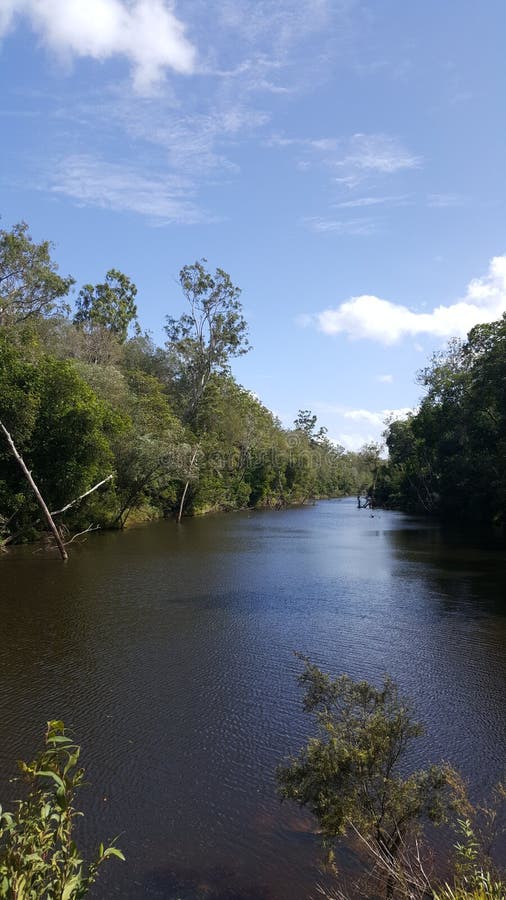 Rivers in Queensland Australia Stock Photo - Image of river, queensland ...
