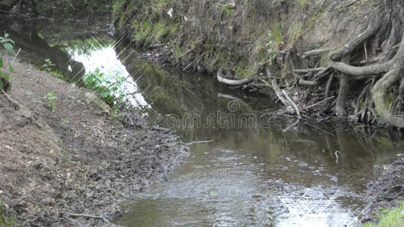Rivers and Streams Still Waters Run Deep 13 Stock Image - Image of ...