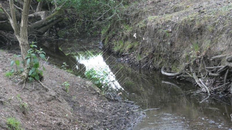 Rivers and Streams Still Waters Run Deep 12 Stock Image - Image of ...