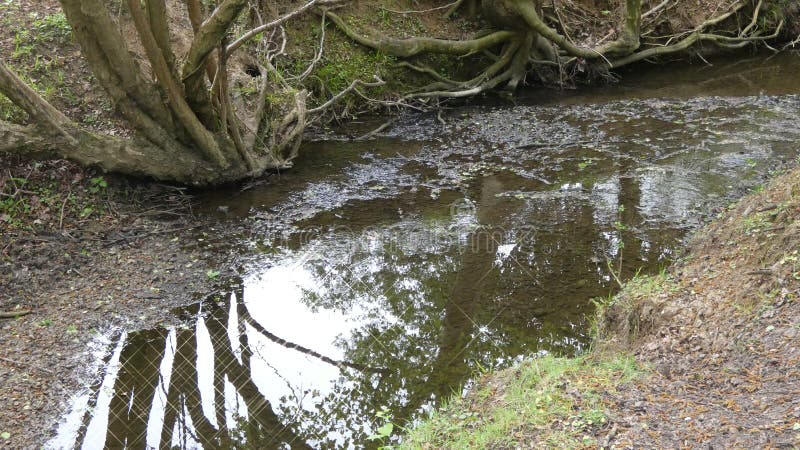 Rivers and Streams Still Waters Run Deep 1 Stock Photo - Image of ...