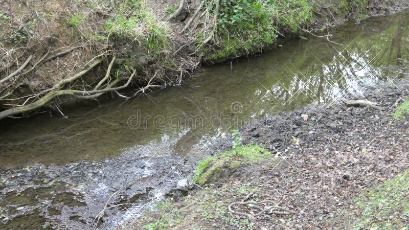 Rivers and Streams Still Waters Run Deep 3 Stock Image - Image of ...