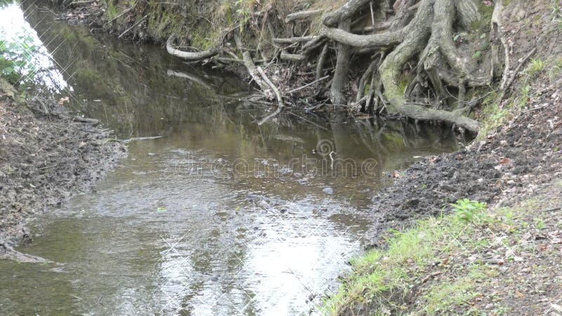 Rivers and Streams Still Waters Run Deep 5 Stock Photo - Image of ...