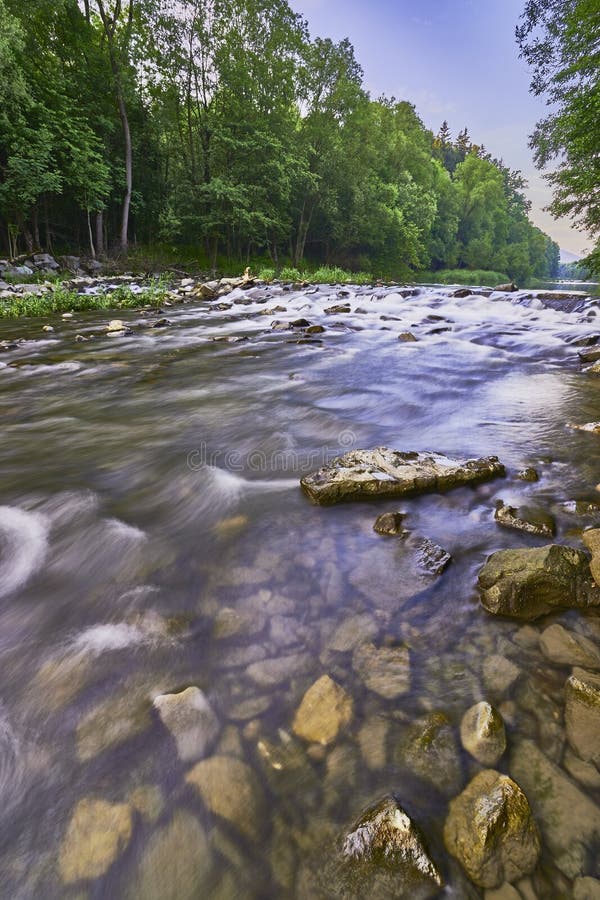 Rivers and trees stock photo. Image of leaves, rivers - 72941424
