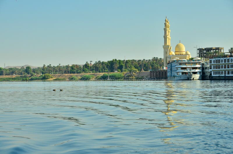 Nile river stock image. Image of bank, river, vegetation - 21661767