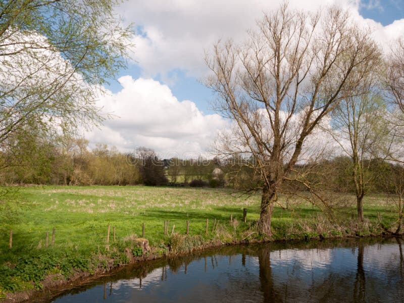 Riverside Bank Shot with Trees on the Edge Stock Photo - Image of rocky ...