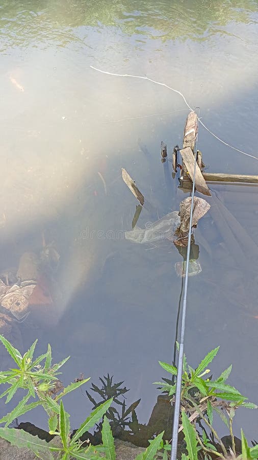 Riverside Fishing with a Short Rod Stock Image - Image of riverside ...