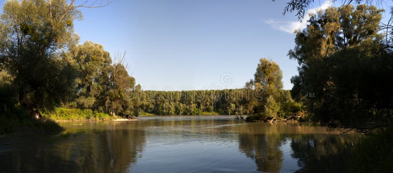 Riverside forest stock image. Image of river, danube - 88024769