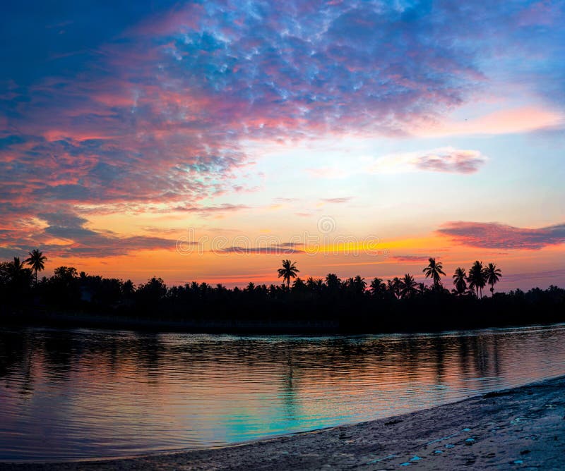 Riverside Forest in the Forest of Thailand Stock Photo - Image of ...