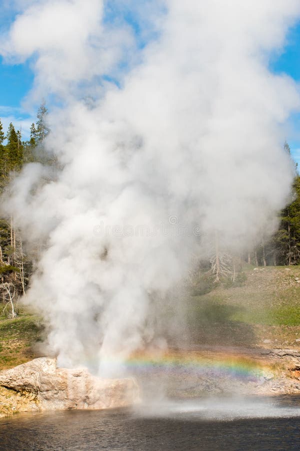 Riverside Geyser with a Rainbow in Yellowstone, Vertical Stock Photo ...