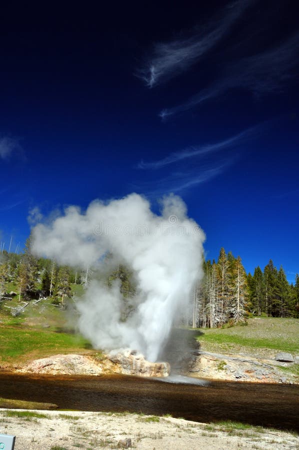 Riverside Geyser. Yellowstone National Park Stock Image - Image of ...