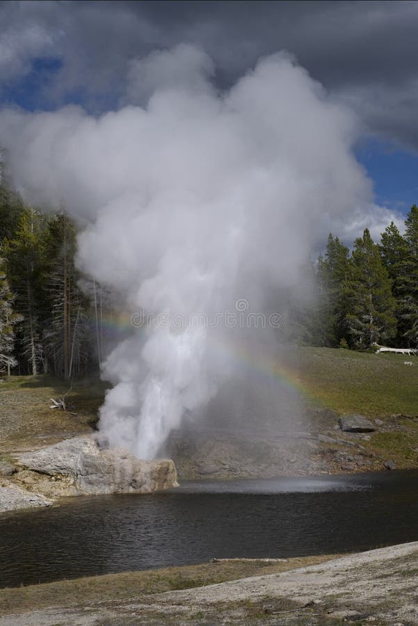 Riverside Geyser of Yellowstone National Park Stock Photo - Image of ...