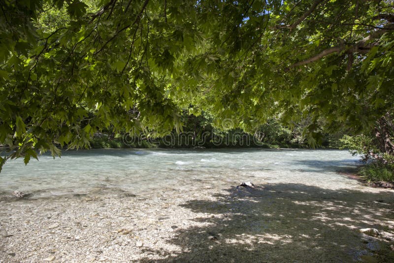 Riverside with Green Trees stock photo. Image of mountain - 71971502