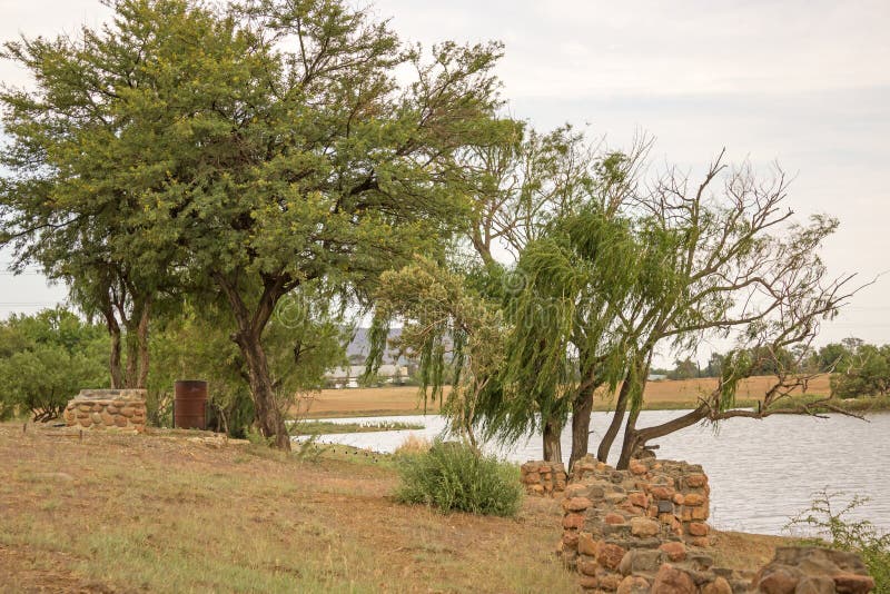 Riverside image stock image. Image of ecology, flora - 68387603