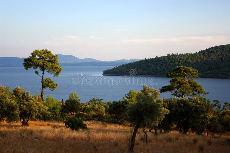 Riverside Landscape stock photo. Image of river, countryside - 6596414