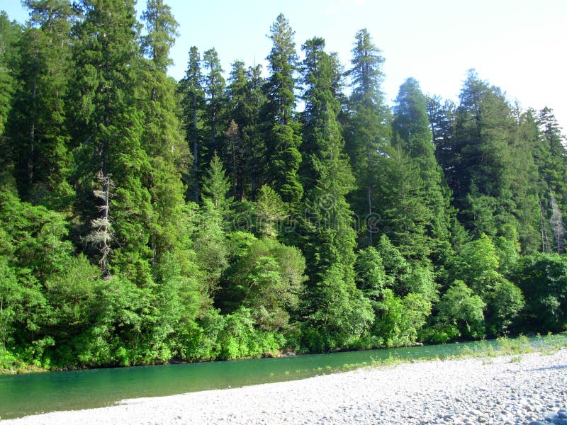 Riverside Landscape stock photo. Image of tree, lake, riverbed - 929960