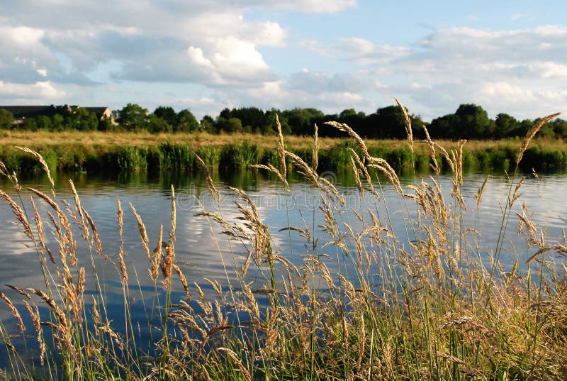 Riverside Landscape of Nature Stock Photo - Image of summer, nature ...