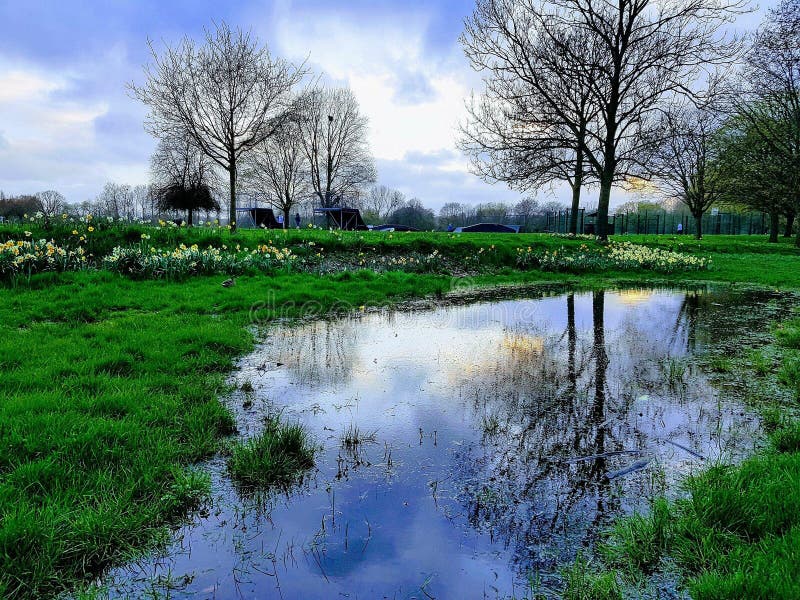 Riverside stock image. Image of lake, nature, pool, natural - 115534739