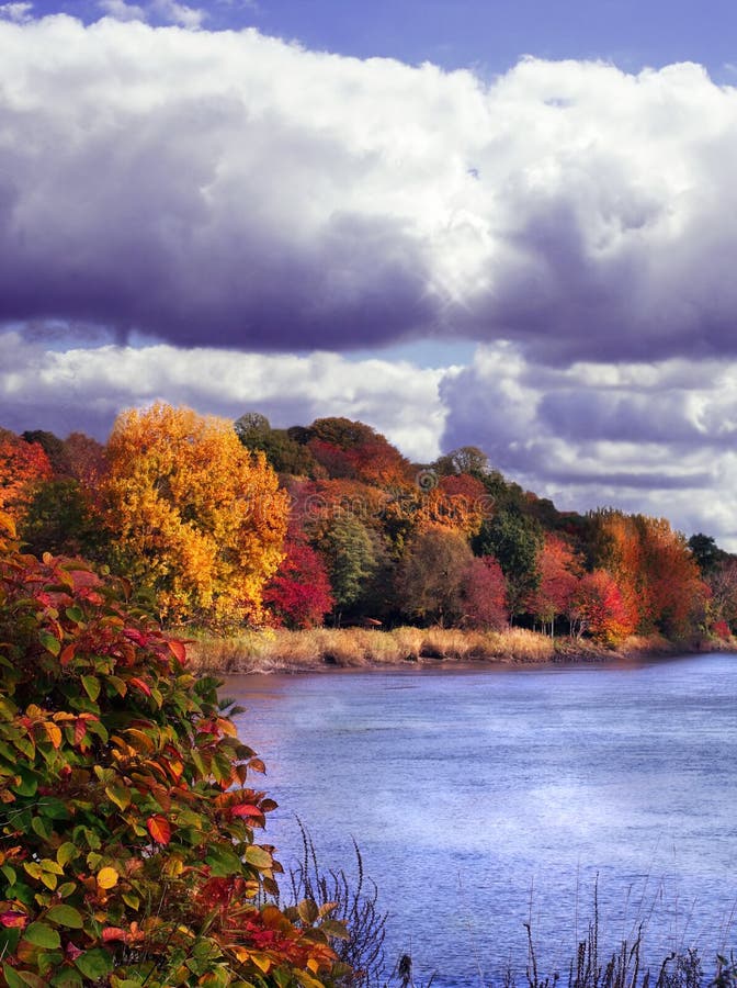 Riverside nature stock image. Image of clouds, scenery - 3460999