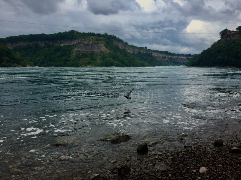 Riverside stock image. Image of nature, canada, riverside - 122374169