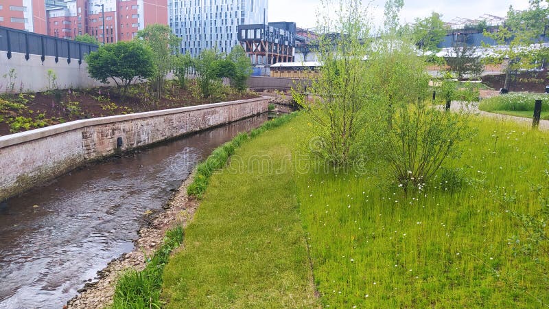 Medlock Bridge Tree Down Stock Photos - Free & Royalty-Free Stock ...