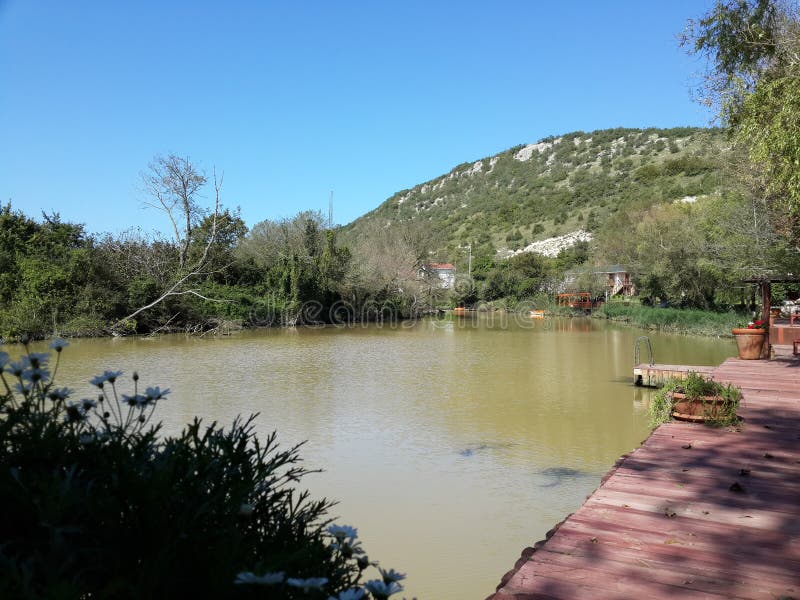 Riverside stock image. Image of nature, autumn, riverside - 47442307