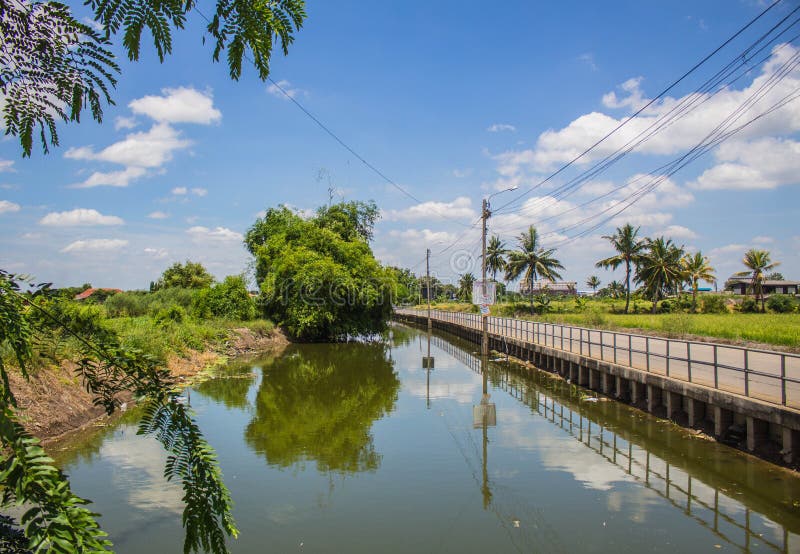 Riverside stock image. Image of bush, environment, green - 44863541