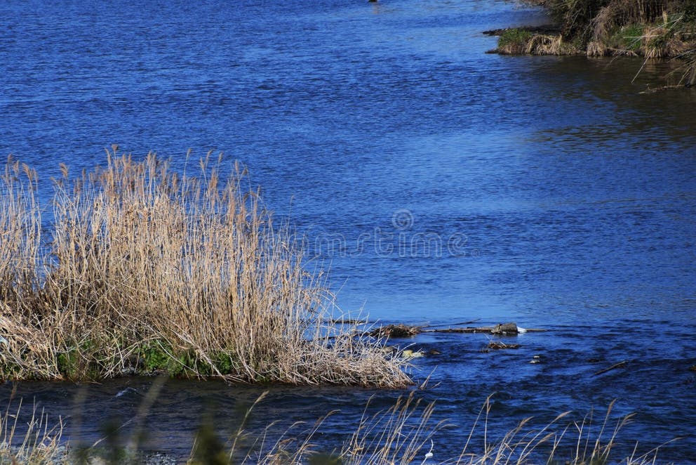 Riverside scenery of Japan stock image. Image of trees - 108915677