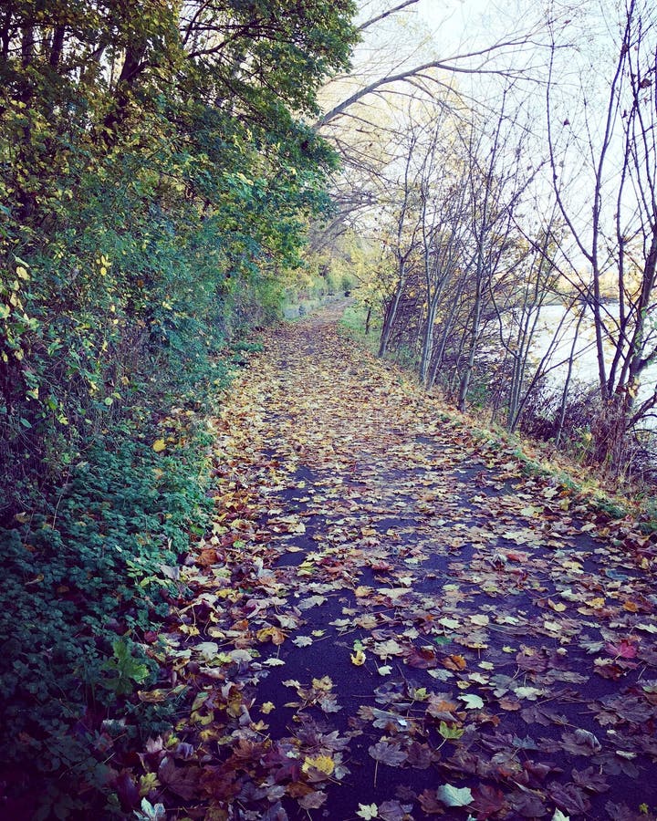 Riverside stock image. Image of season, alternation, leaf - 70407361