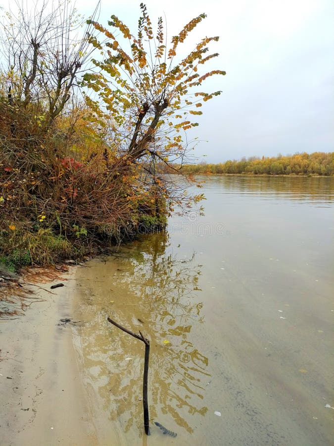 Riverside stock image. Image of walk, view, river, rivere - 103202449