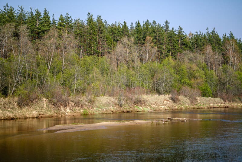 Riverside Shore in Spring with Scenic Trees and Green Pastures Stock ...