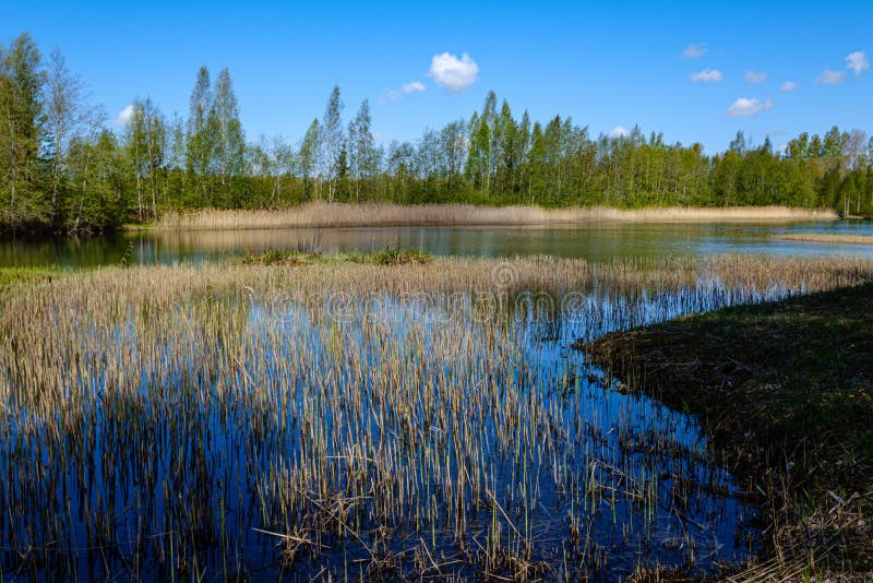 Riverside Shore in Spring with Scenic Trees and Green Pastures Stock ...