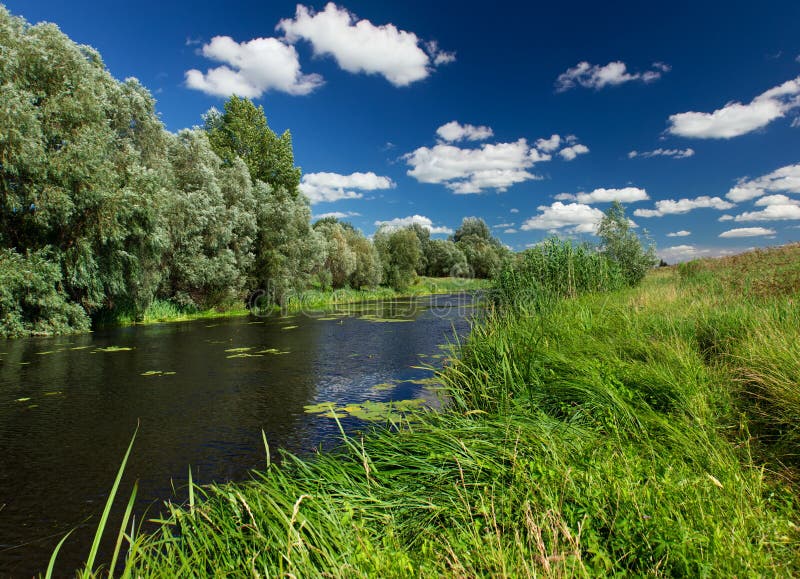 Riverside stock photo. Image of summer, sunny, rancher - 42194266