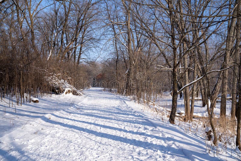 The Riverside Trail in Winter, in William O`Brien State Park Minnesota ...